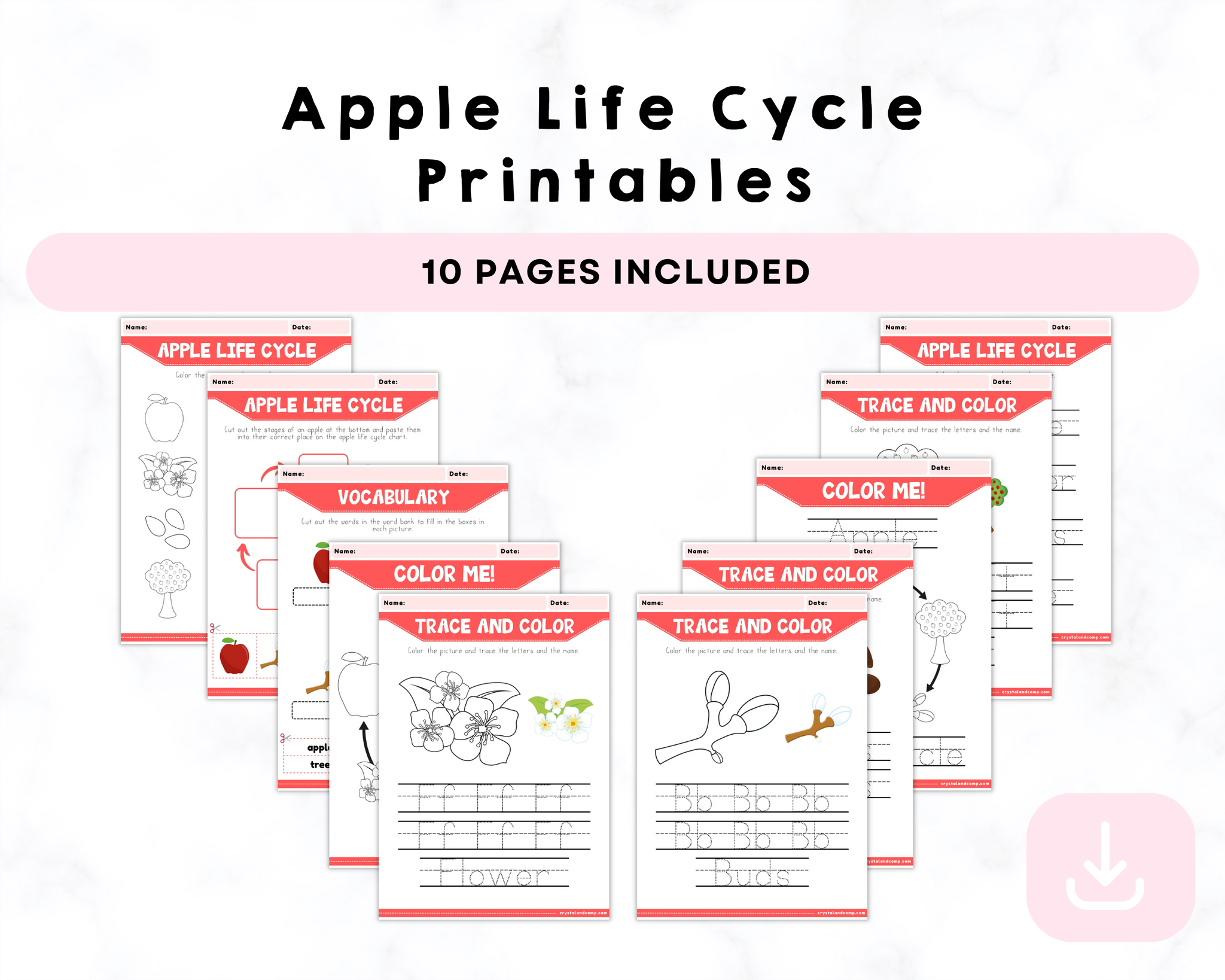 Apple Life Cycle Printables – CrystalandComp