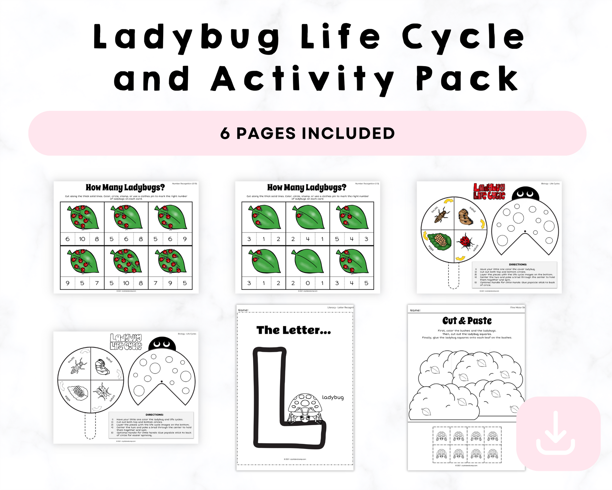 Ladybug Life Cycle and Activity Pack Printables – CrystalandComp