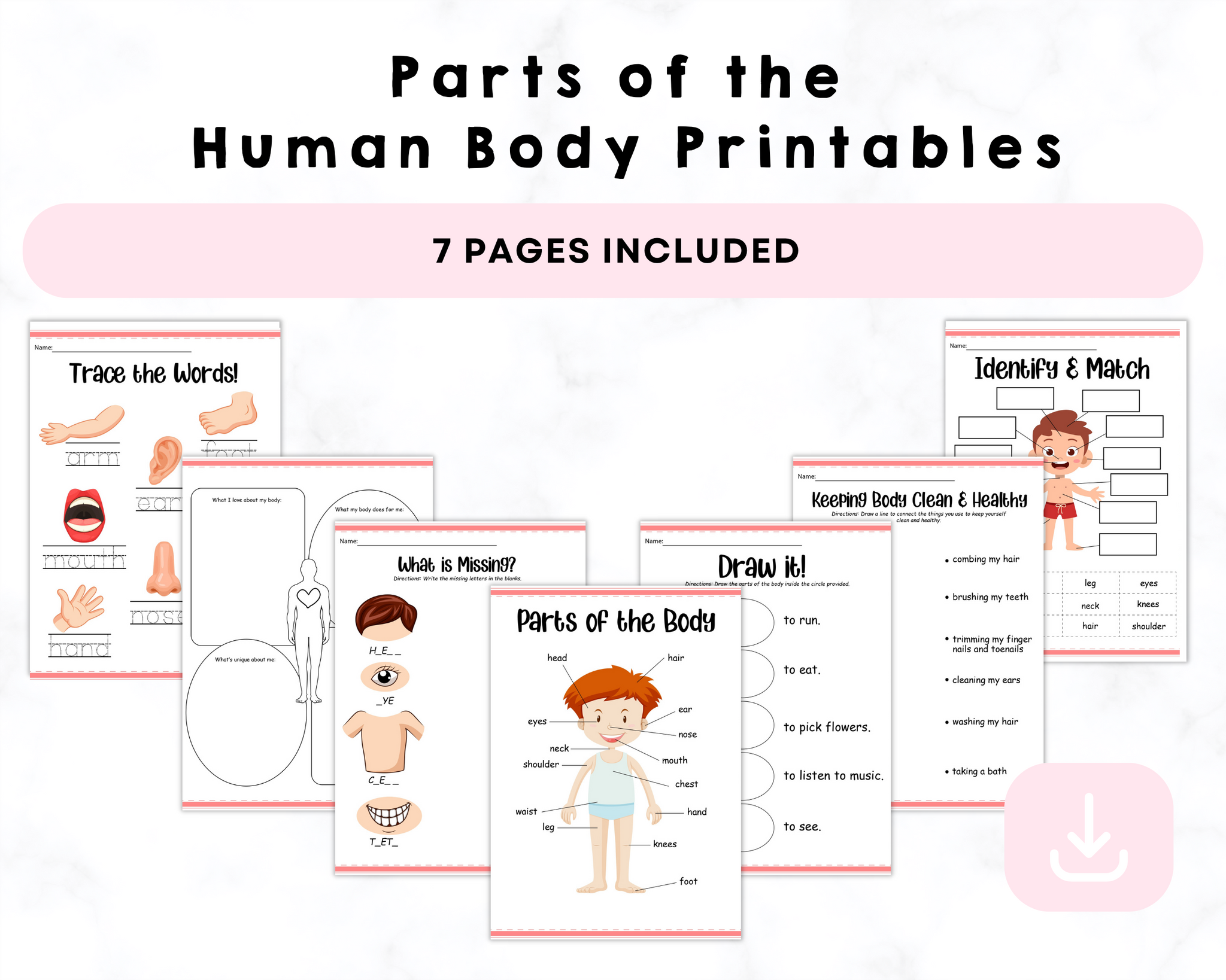 Parts of the Human Body Printables – CrystalandComp