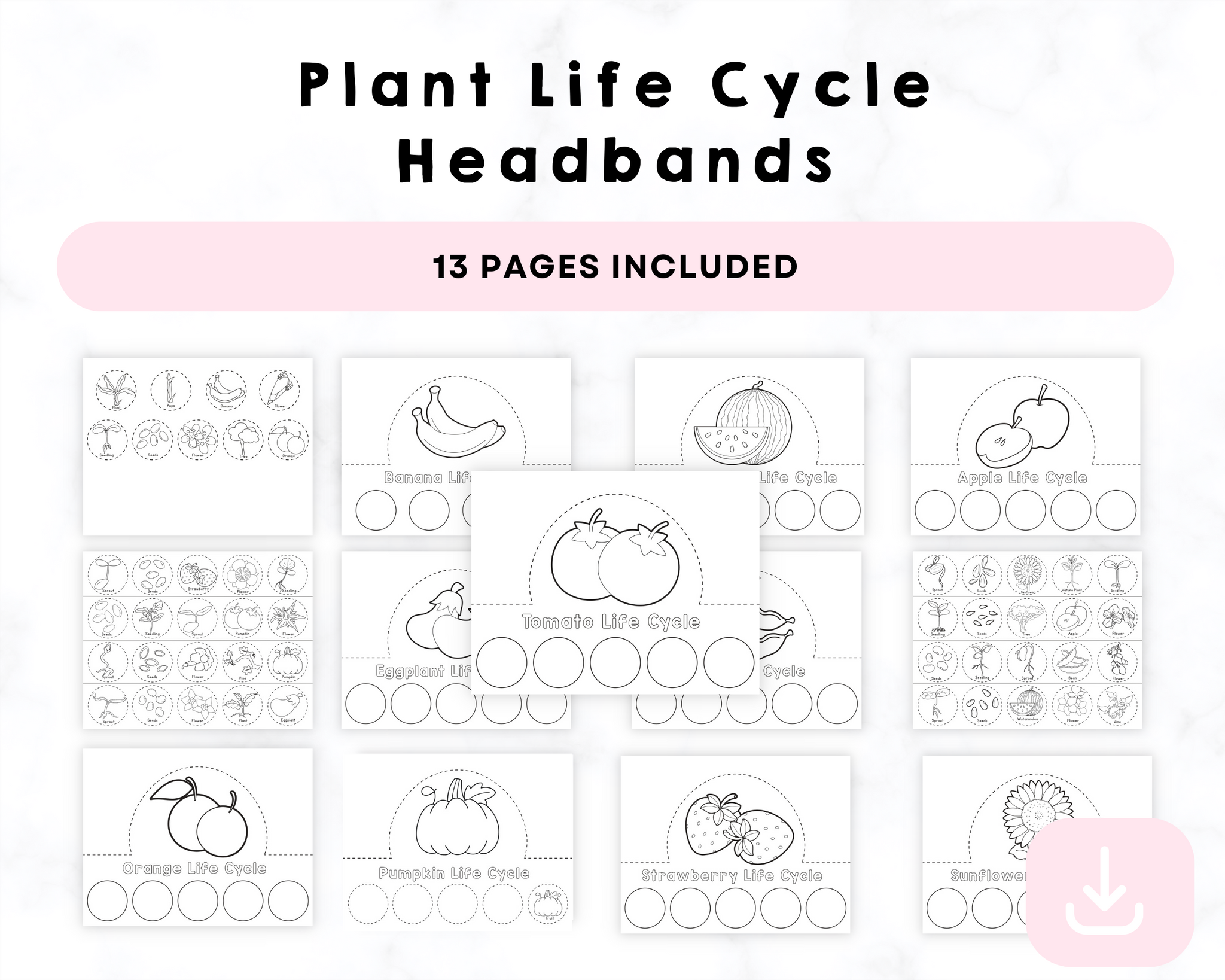 Plant Life Cycle Headbands Printable – CrystalandComp
