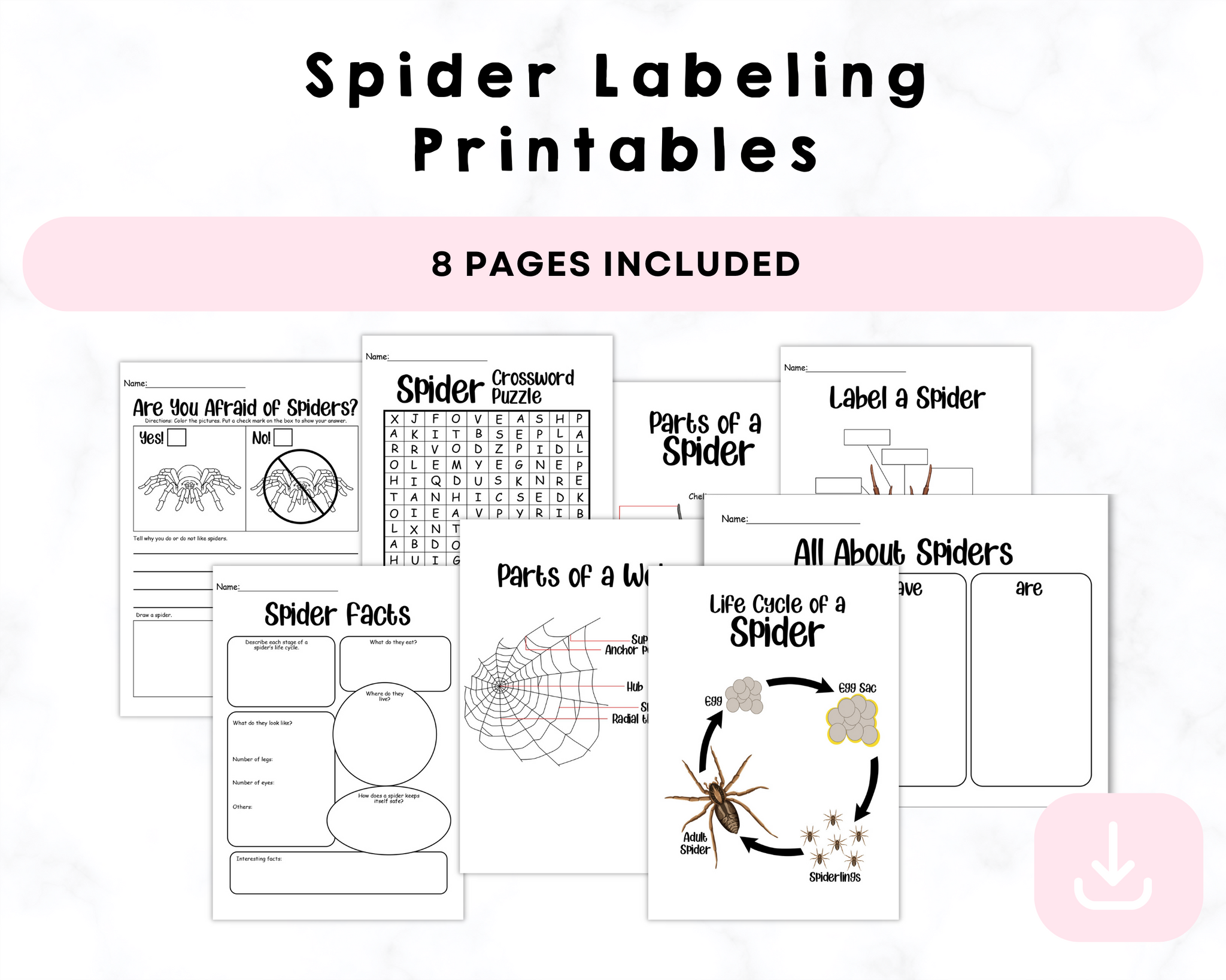 Spider Labeling Printables – CrystalandComp